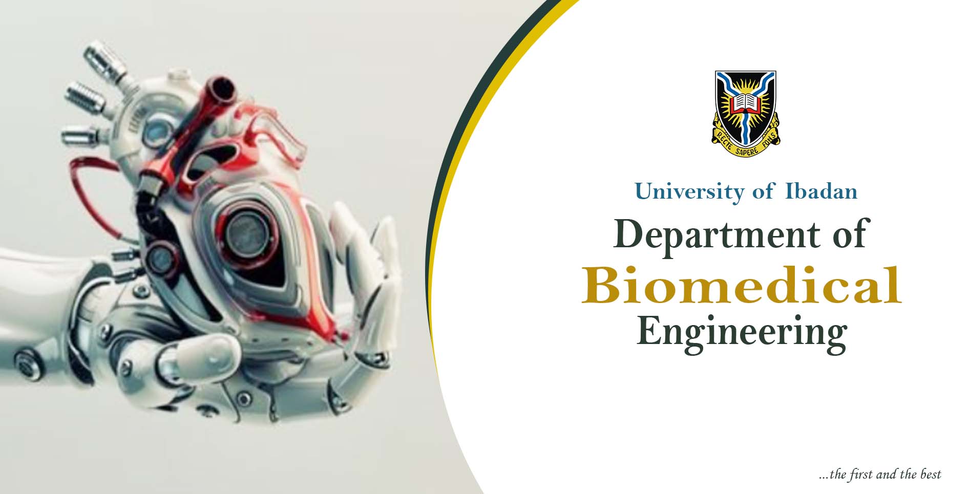 Biomedical Engineering | FACULTY OF TECHNOLOGY